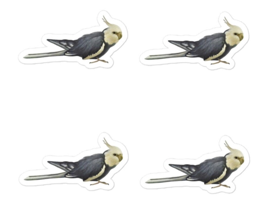Stickers Bird Grey Faced Cockatiel Sticker Cockatoo Art Bird Art ...