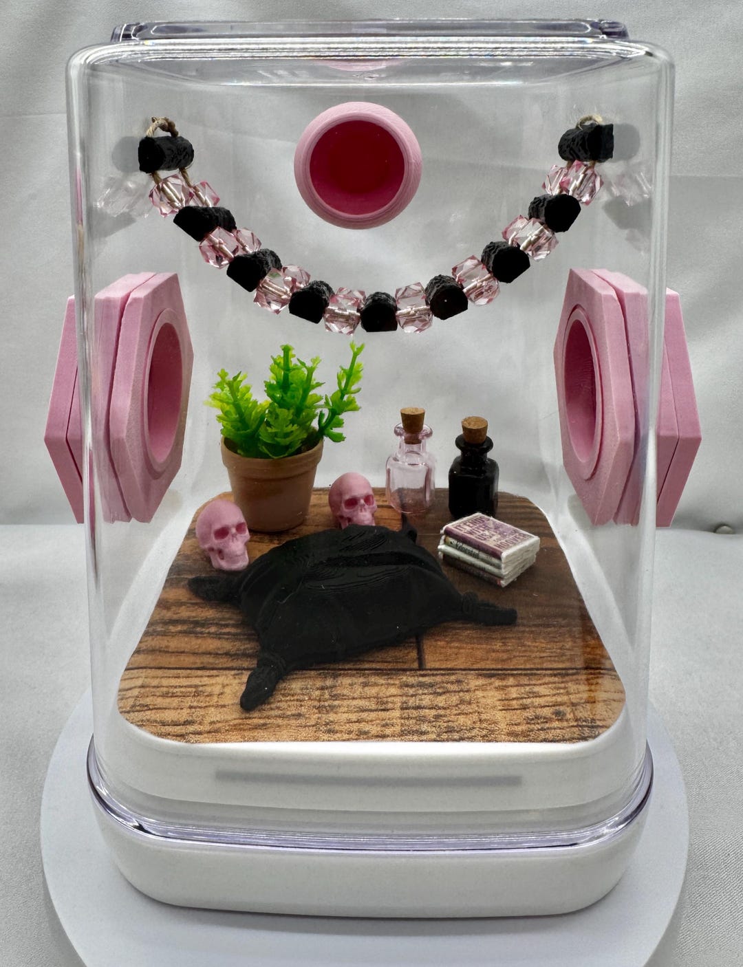 Decorated Jumping Spider Enclosure: Pink Eclipse Terrarium (5x5x7 ...