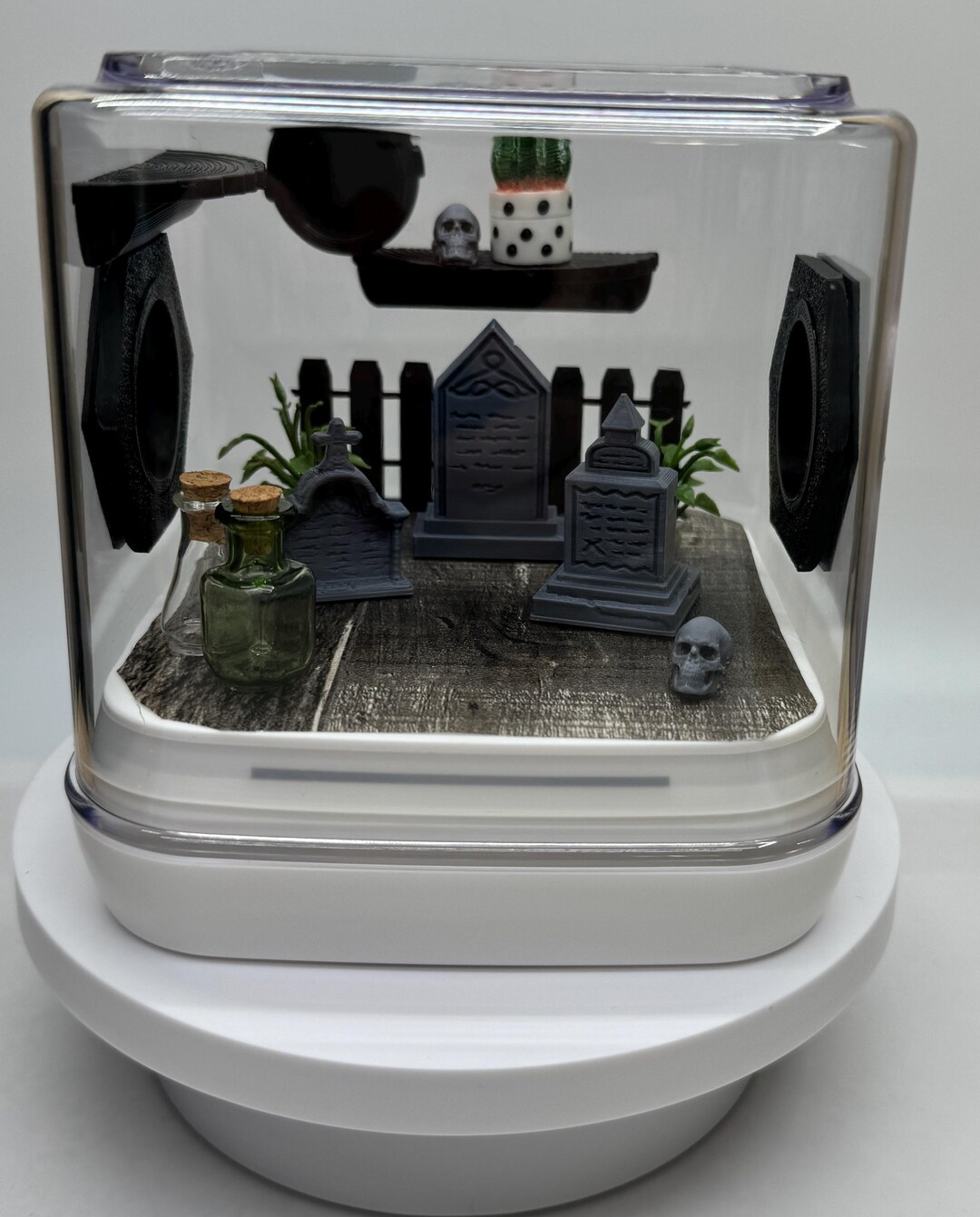 Mini Graveyard Jumping Spider Enclosure, Pet Homes, Terrarium, Cute ...