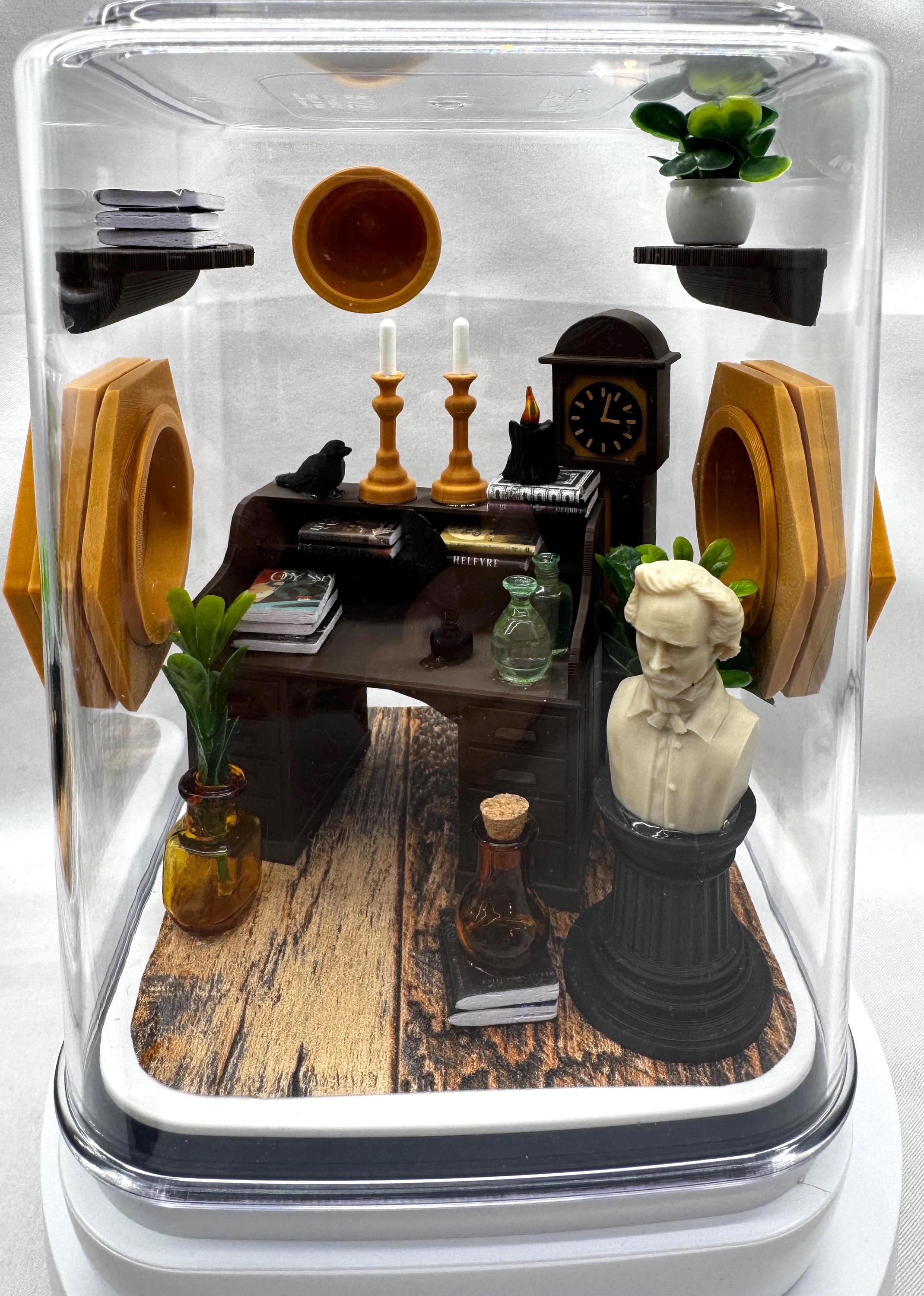 Edgar Allan Poe Jumping Spider Enclosure | Gothic Terrarium | Handmade ...