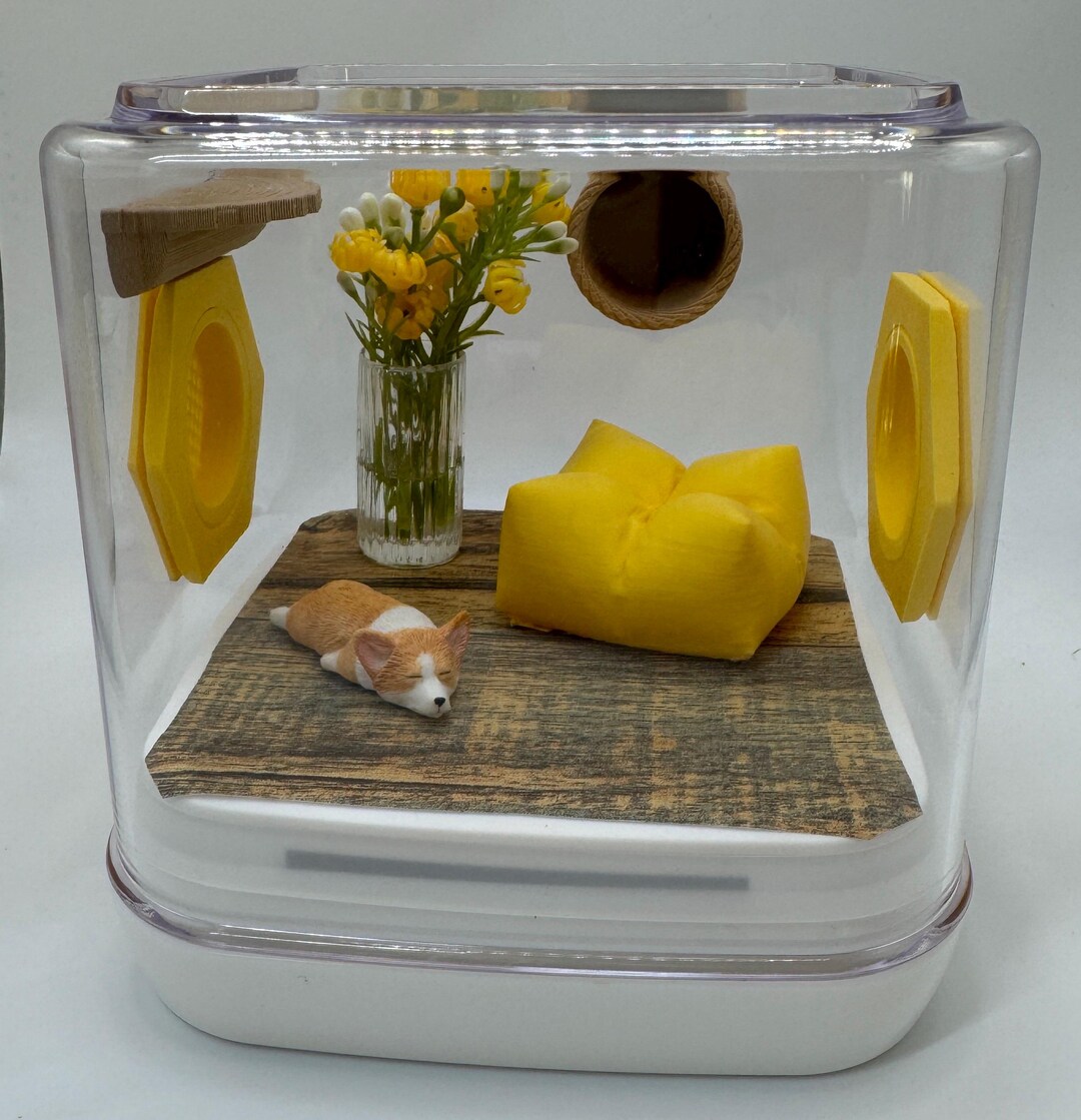 The Spidey Nook Jumping Spider Enclosure - Etsy