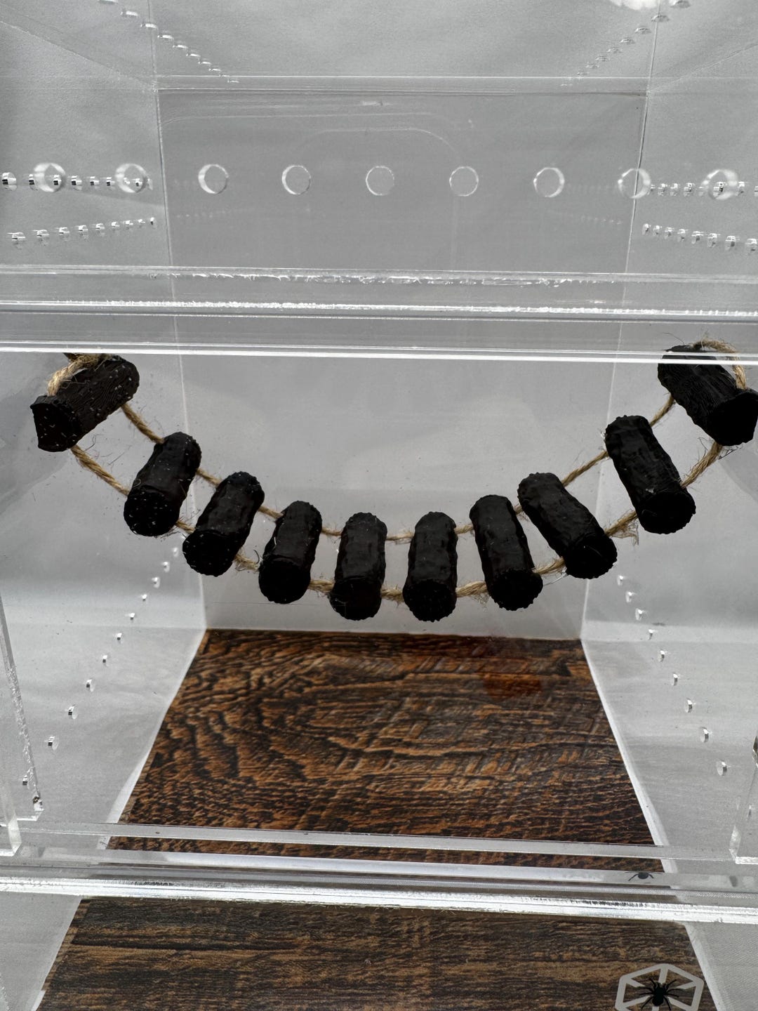 Magnetic Jumping Spider Bridge | Terrarium Decor | Spider Enclosure ...