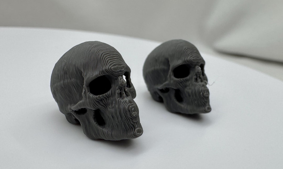 Jumping Spider Skulls - 3D Printed Spider Accessories - Set of 2 Skulls ...