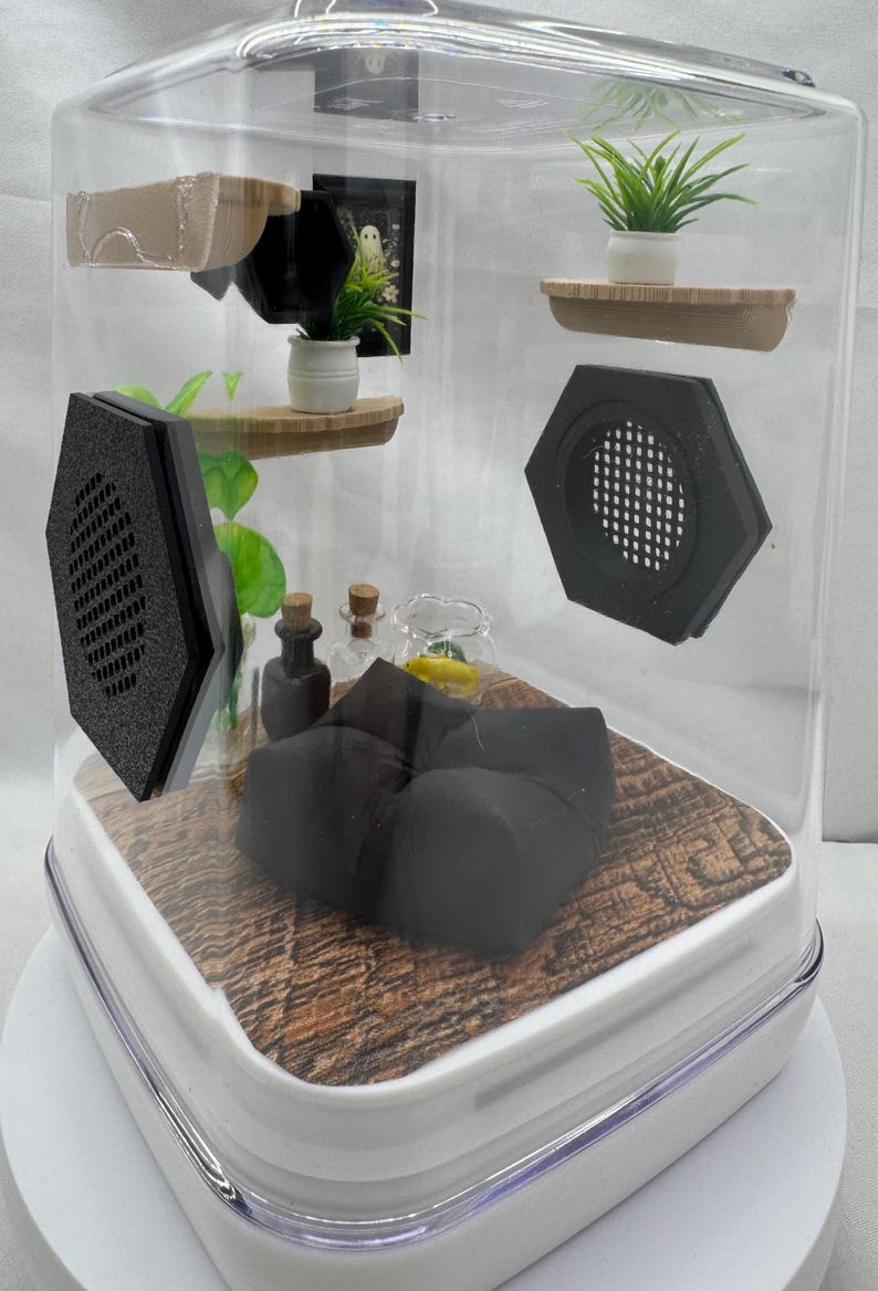 Jumping Spider Enclosure, Arboreal Spider Habitat, Small Terrarium for ...