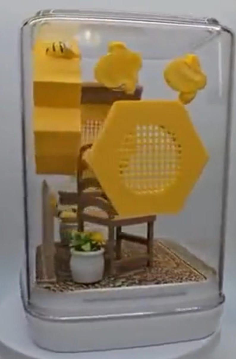 Jumping Spider Enclosure, Bee Themed, Decorated Terrarium. - Etsy