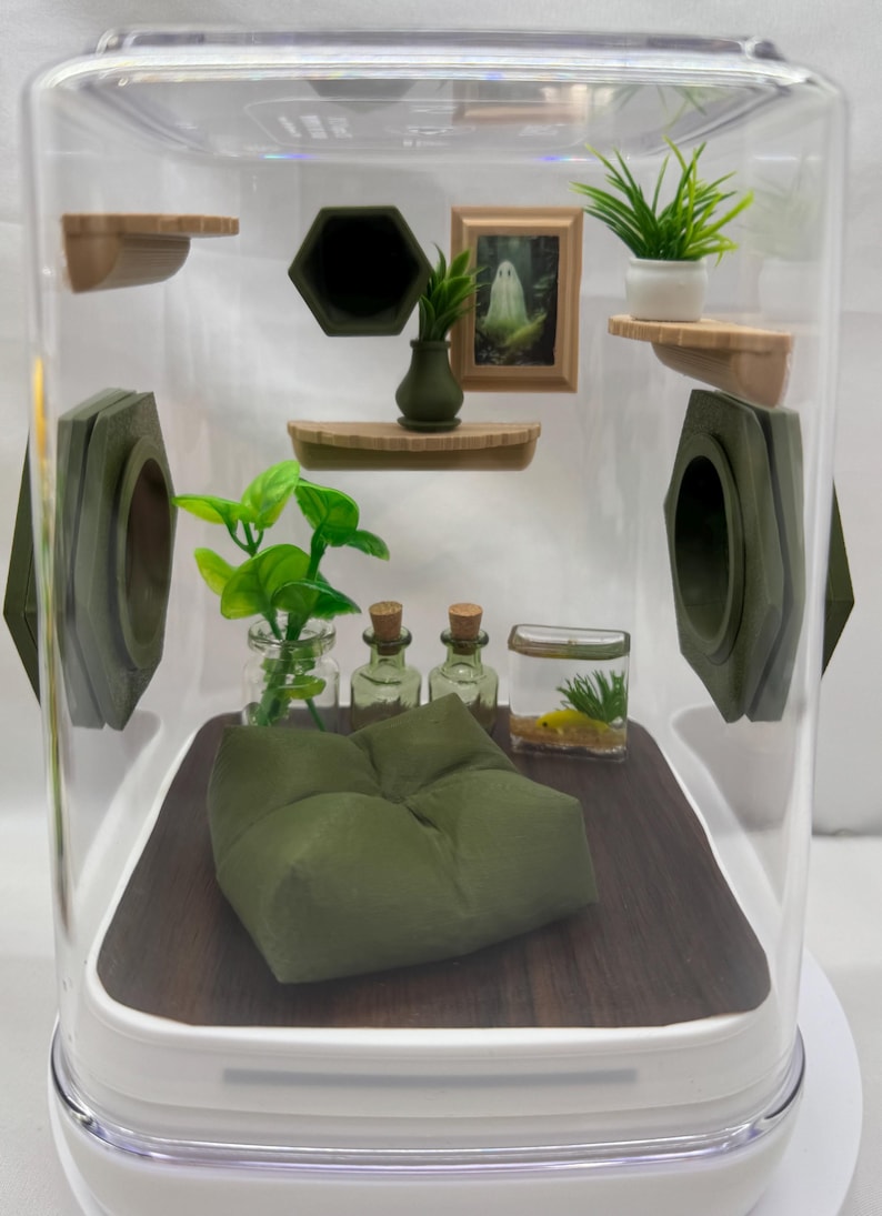 Olive Cove Jumping Spider Enclosure - Etsy