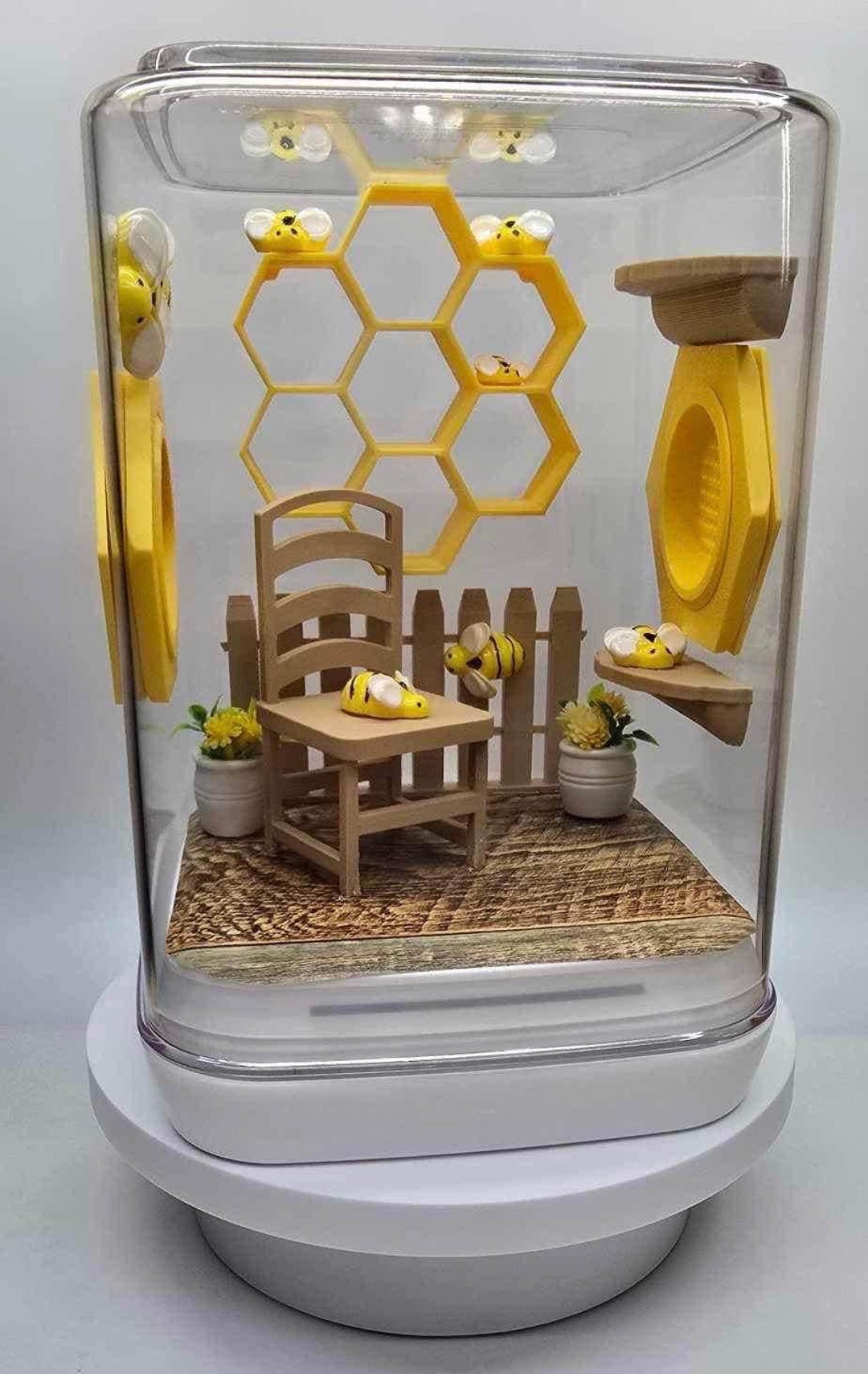 Jumping Spider Enclosure, Bee Themed, Decorated Terrarium. - Etsy
