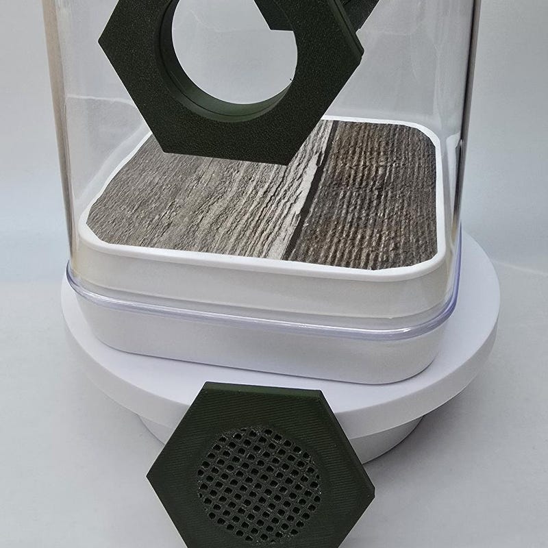 Vents for Jumping Spider - Etsy