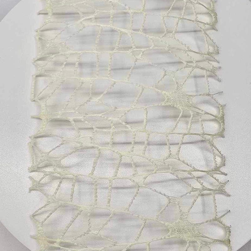 Spider Ribbon - Etsy