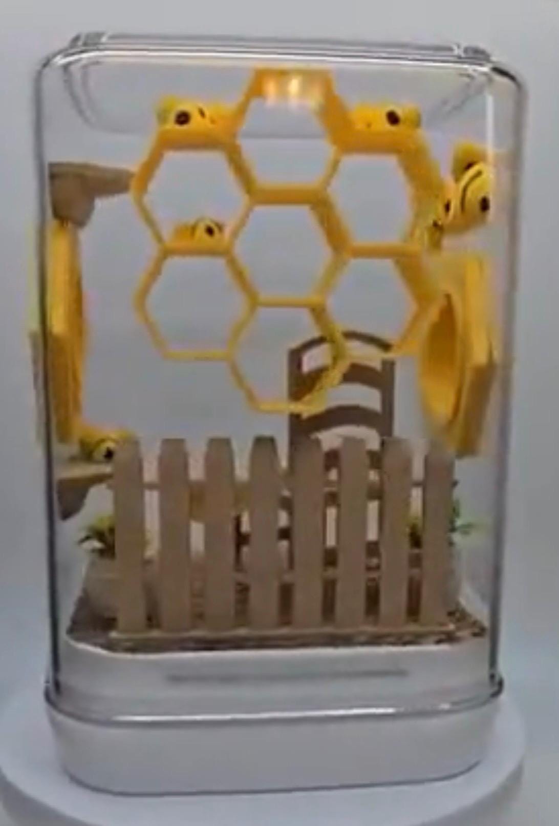 Jumping Spider Enclosure, Bee Themed, Decorated Terrarium. - Etsy