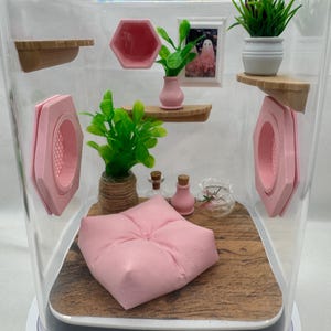 Pink Paradise Jumping Spider Terrarium: Customizable Enclosure ...