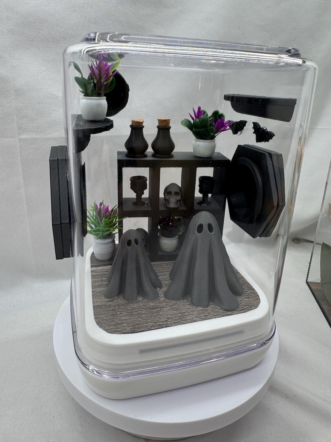 Accessory Pack for the Haunted Ghost Mansion Jumping Spider Enclosure ...
