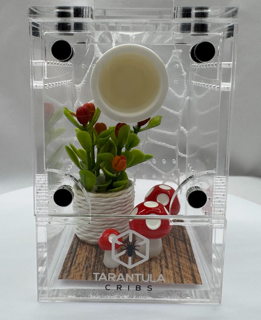 Decorated Jumping Spider Enclosure, Mini Tarantula Crib, Front Opening ...