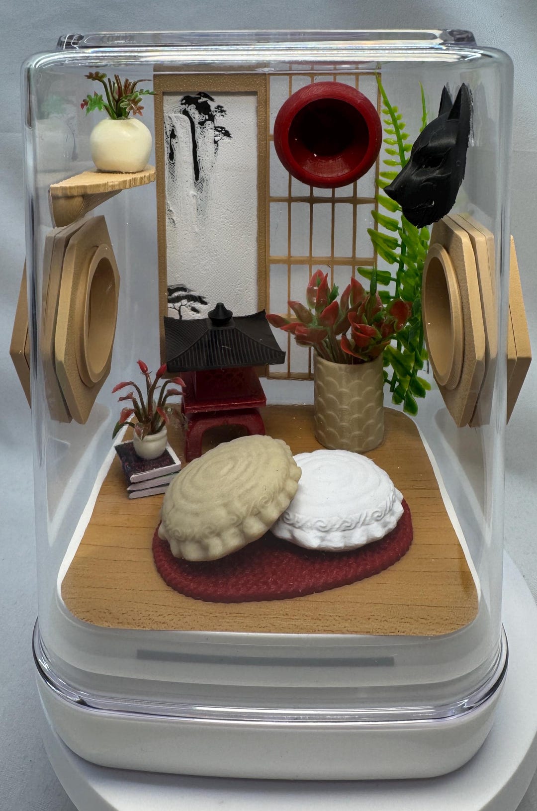 Japan Inspired Jumping Spider Enclosure, Terrarium, Acrylic, Home - Etsy