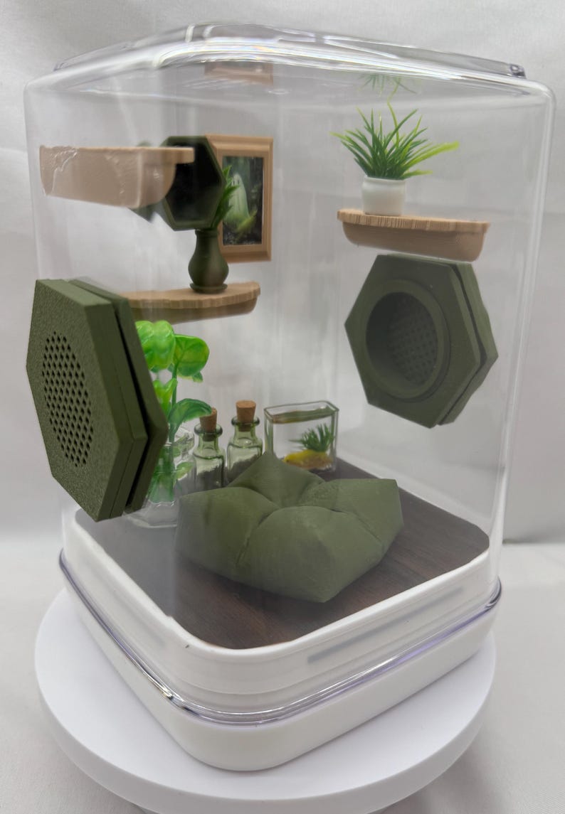Olive Cove Jumping Spider Enclosure - Etsy