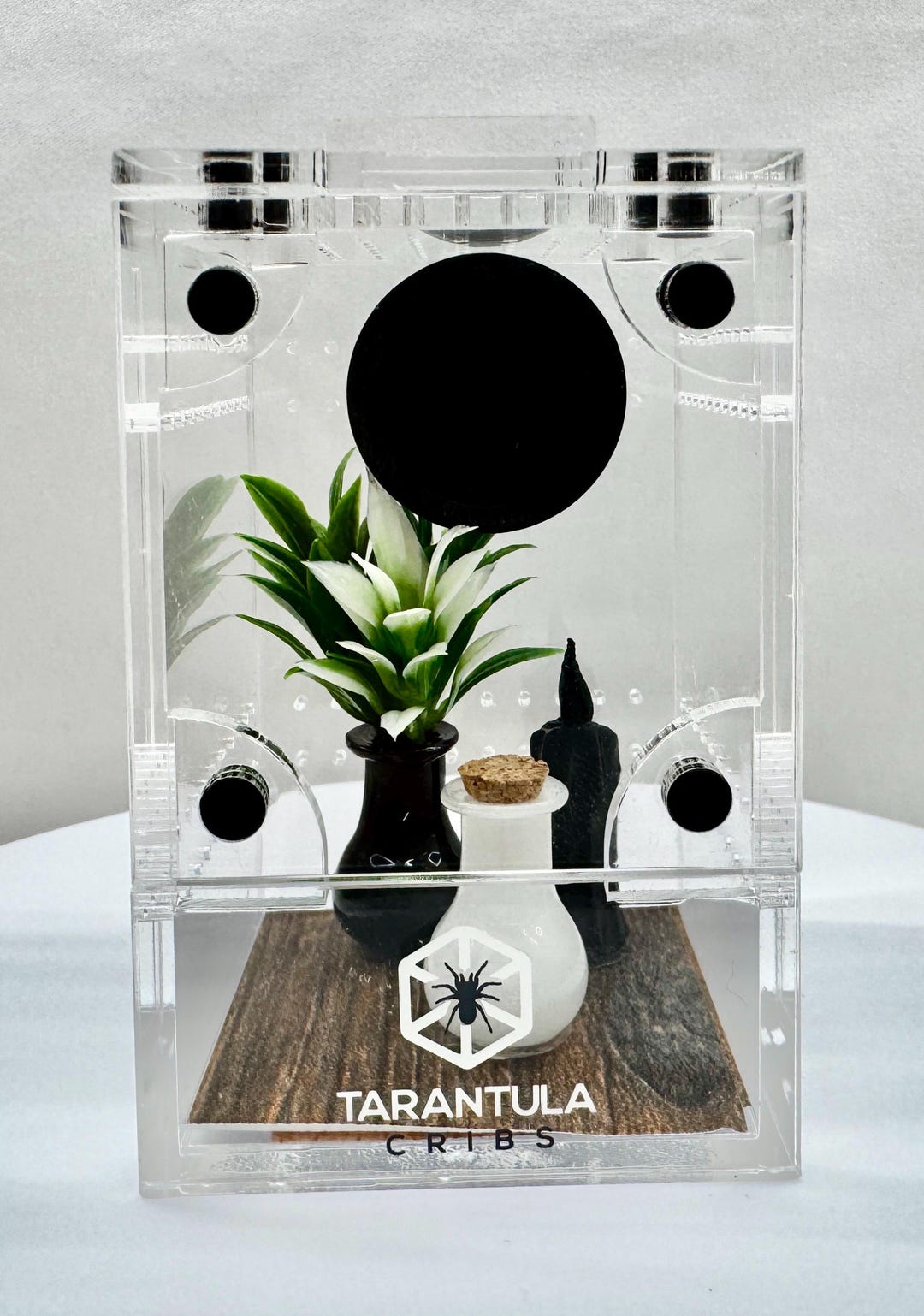 Decorated Jumping Spider Enclosure, Mini Tarantula Crib, Front Opening ...