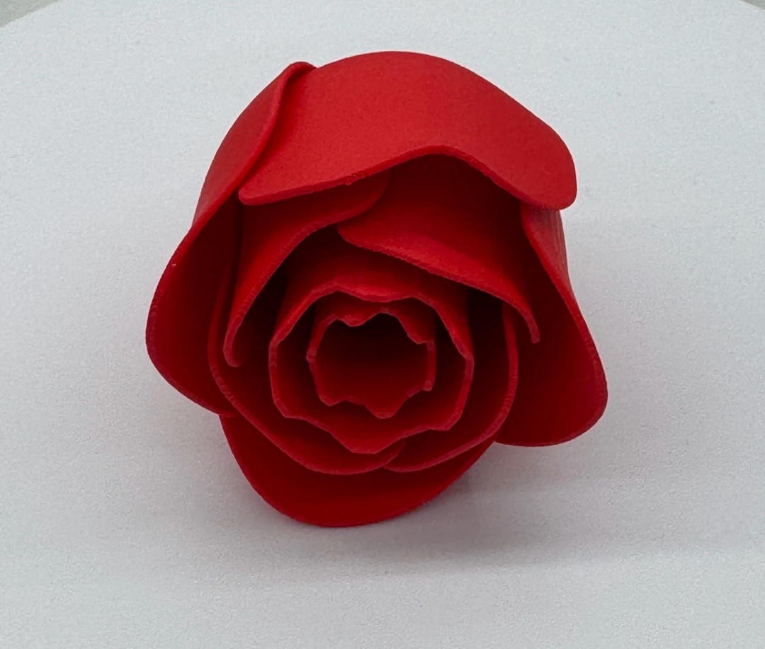 Magnetic Jumping Spider Rose Hideout: Flower Retreat for Arachnid ...