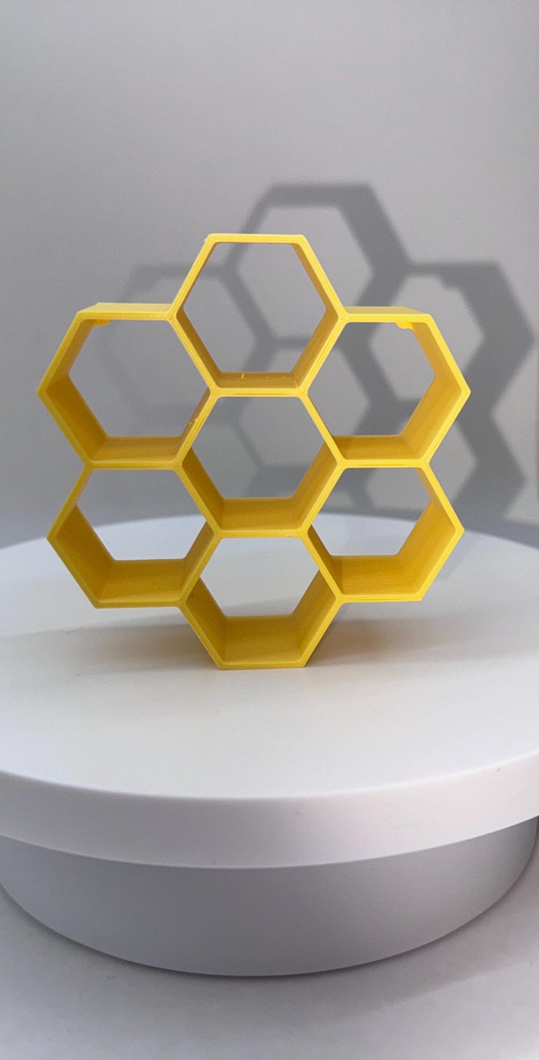 Honeycomb Hide for Jumping Spider Enclosure - Etsy