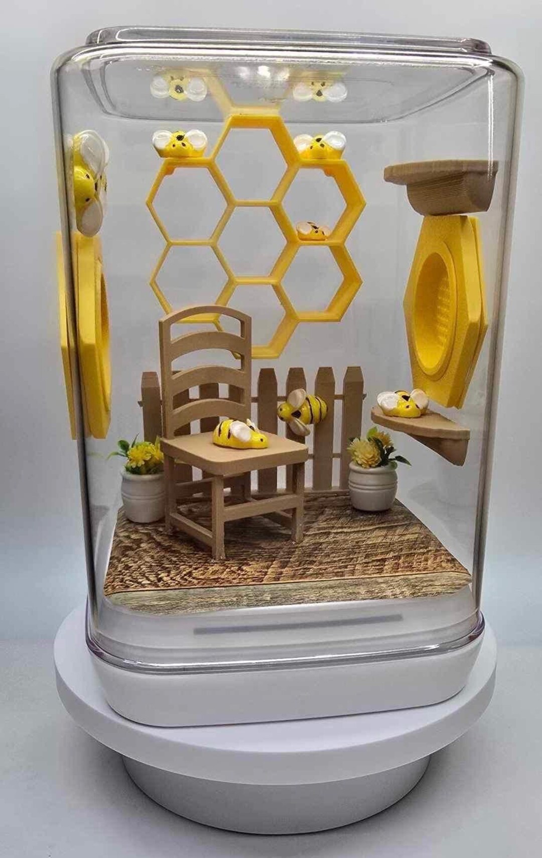 Accessory Pack for the Bee Hive Jumping Spider Enclosure - Etsy