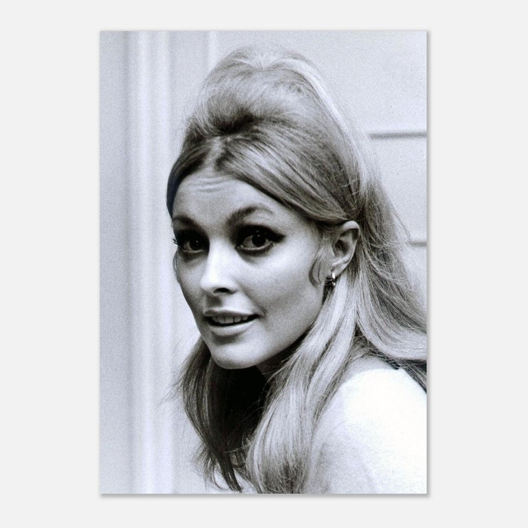 Vintage Sharon Tate Headshot - Etsy