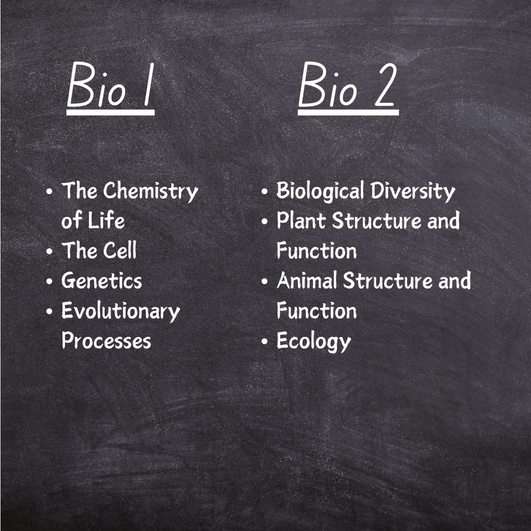 The Complete Biology 1-2 Summary | Undergraduate Guides and Notes - Etsy