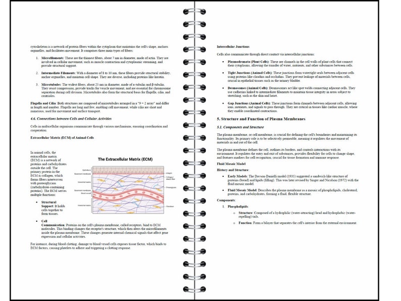 The Complete Biology 1-2 Summary | Undergraduate Guides and Notes - Etsy