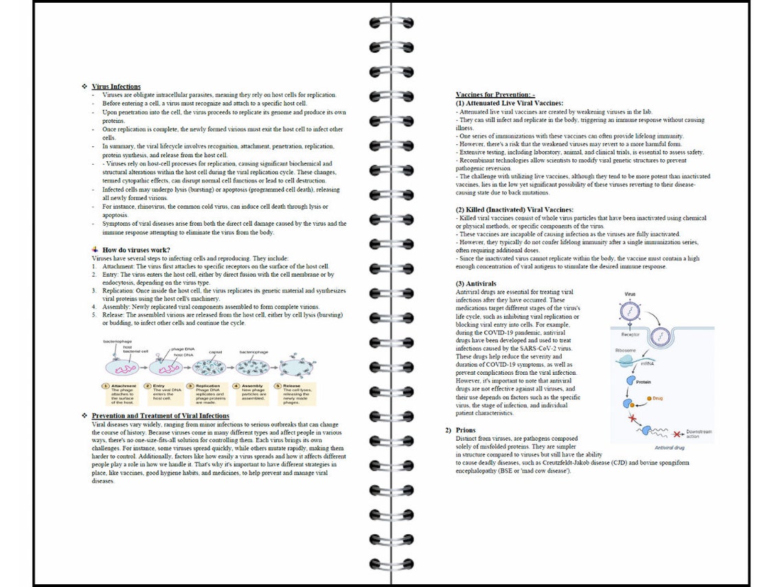 The Complete Biology 1-2 Summary Undergraduate Guides and Notes - Etsy