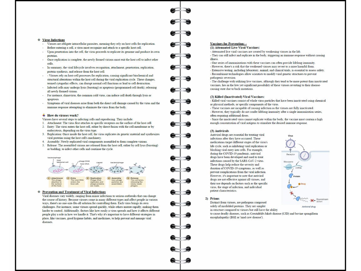The Complete Biology 1-2 Summary Undergraduate Guides and Notes - Etsy