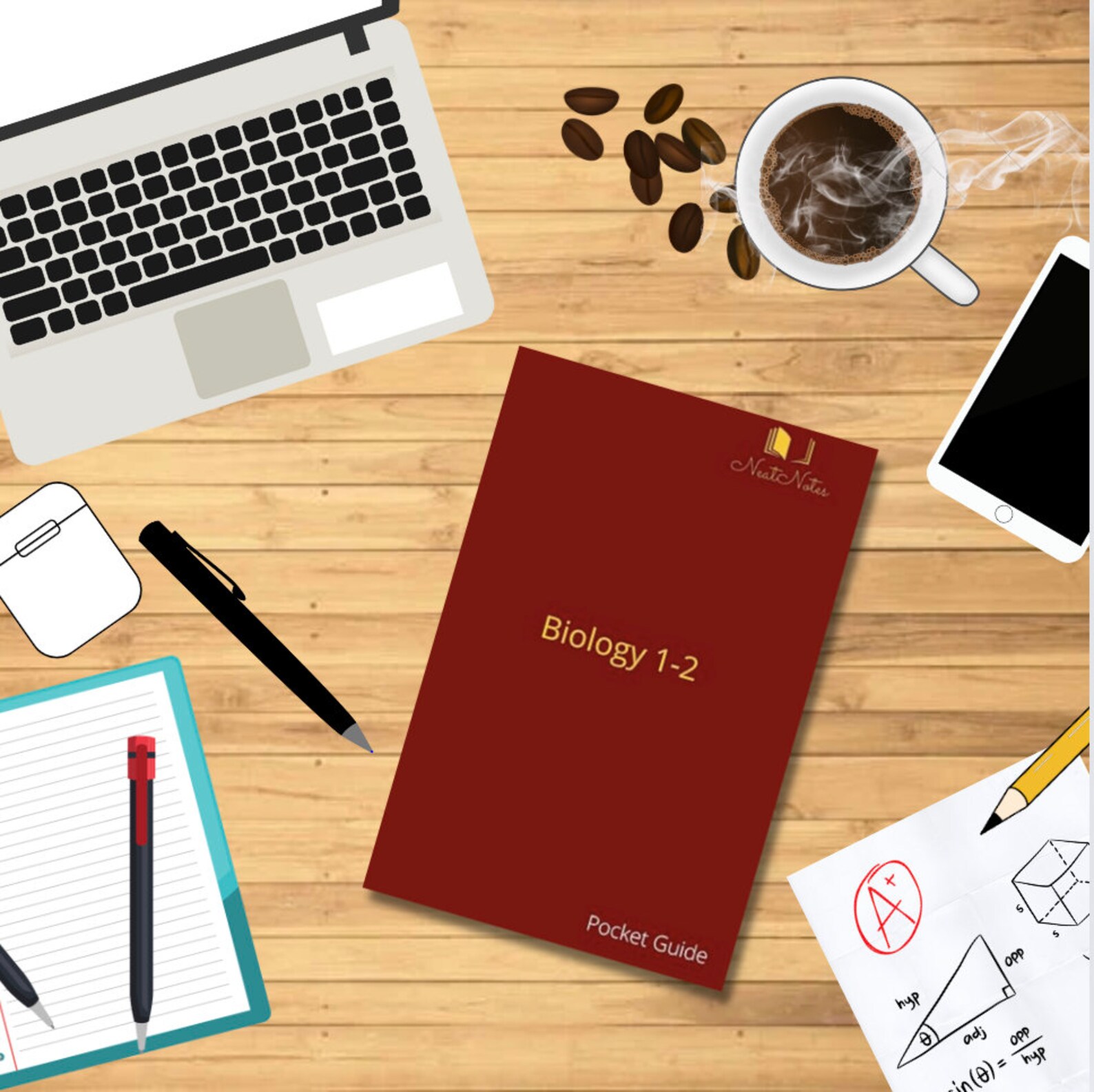 The Complete Biology 1-2 Summary | Undergraduate Guides and Notes - Etsy