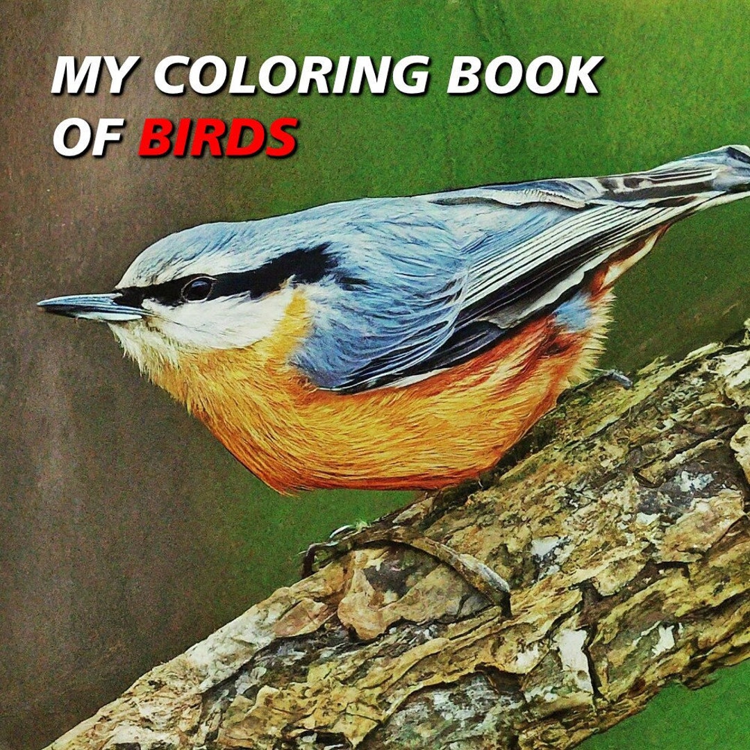 My Coloring Book of Birds - Etsy