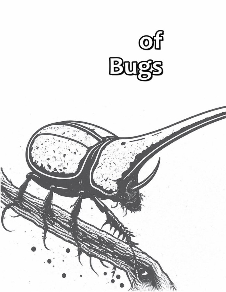 My Coloring Book of Critters - Bundle - Etsy