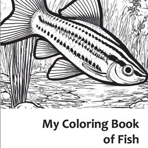 My Coloring Book of Critters - Bundle - Etsy