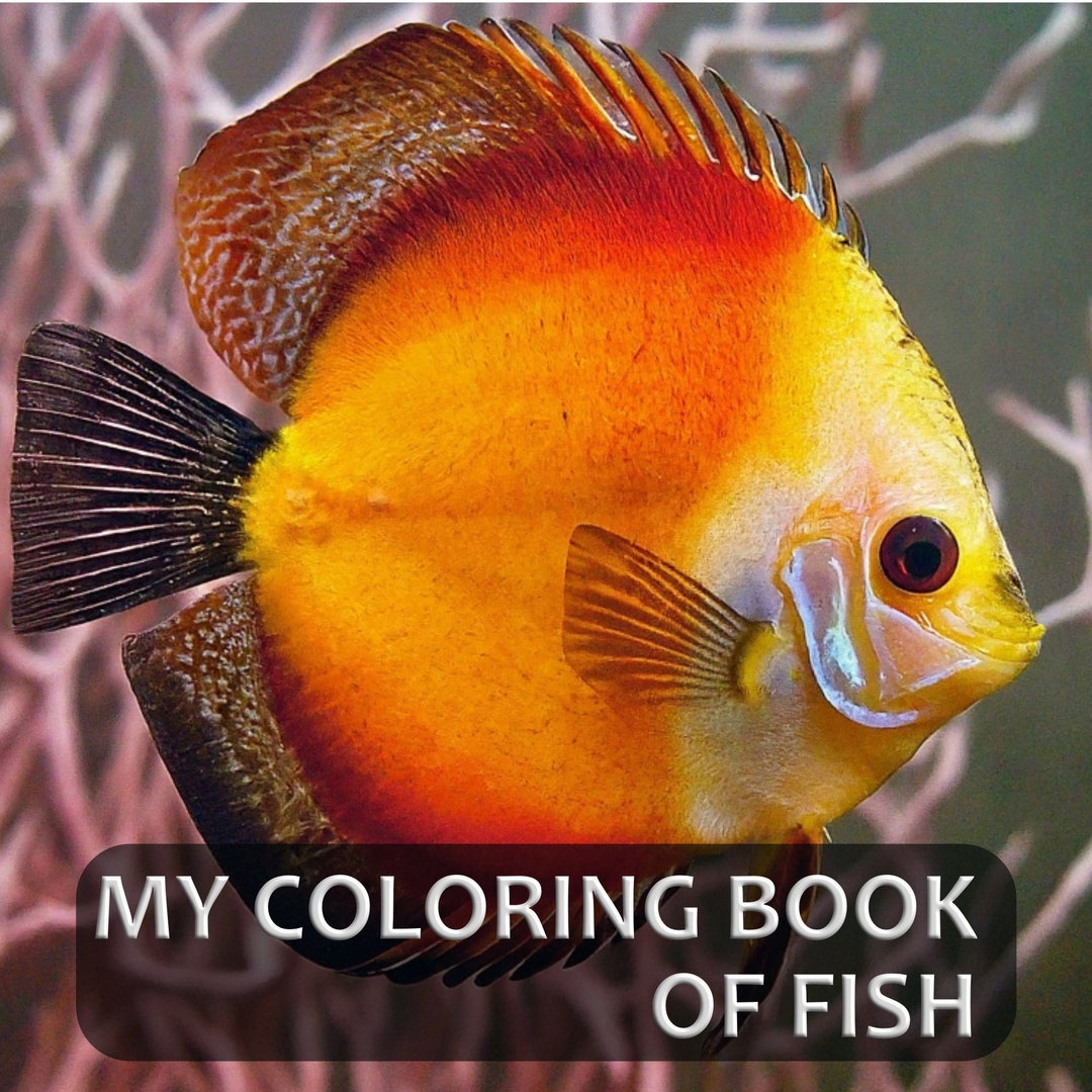 My Coloring Book of Fish - Etsy