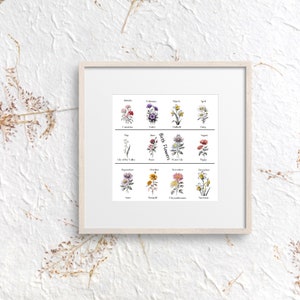 Birth Flower Poster, Month Flower Print, Month Flower Poster, Birth ...