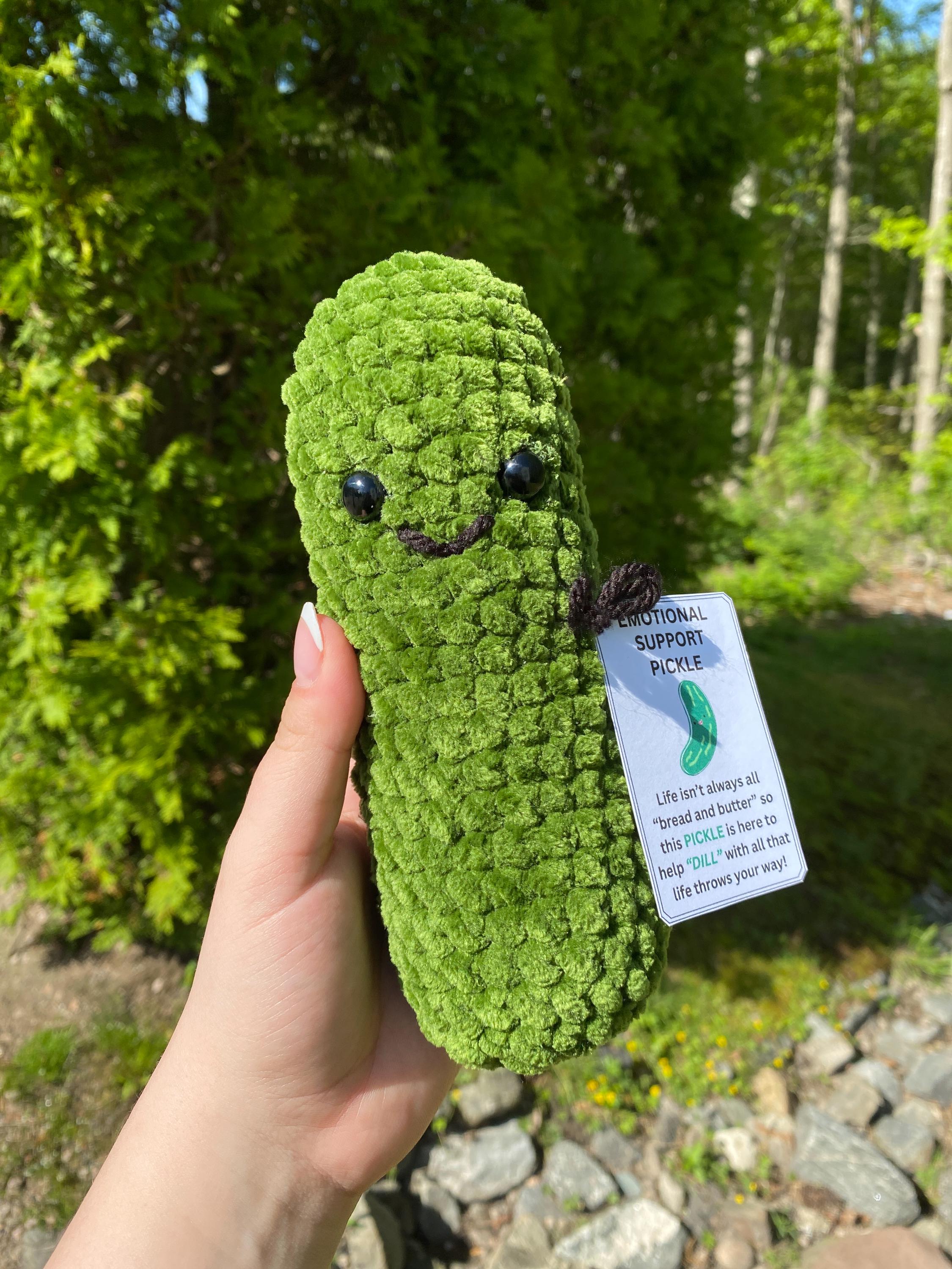 Emotional Support Pickle No-sew Crochet Pattern - Etsy