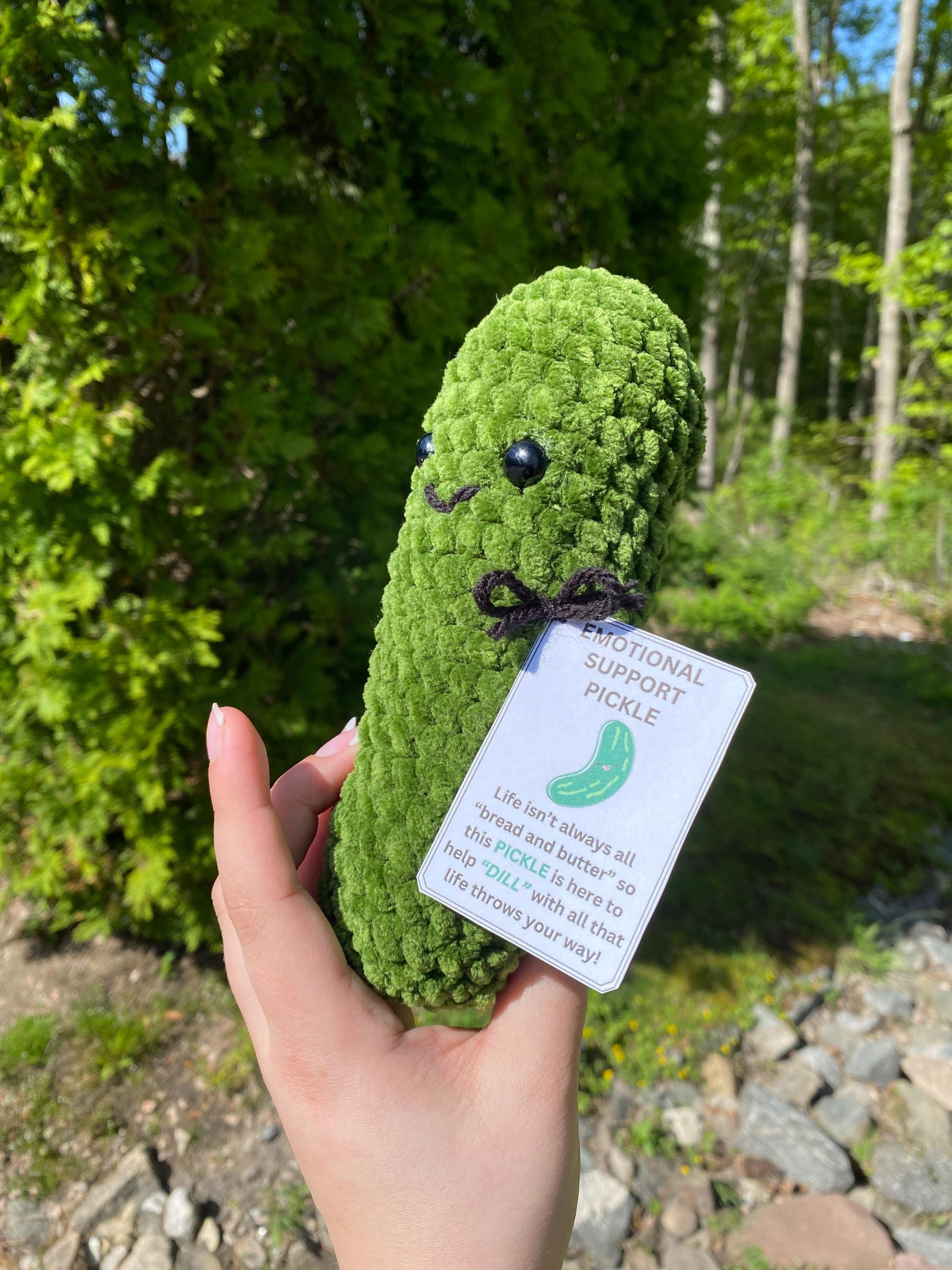 Emotional Support Pickle No-sew Crochet Pattern - Etsy