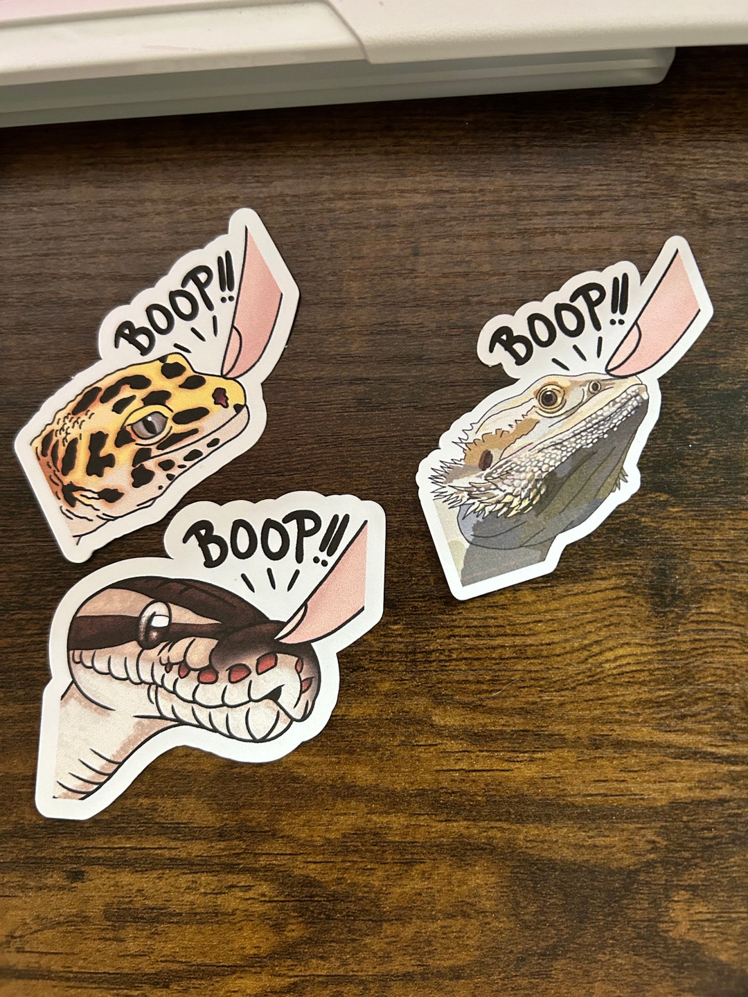 Boop! Reptile Sticker Bundle - Etsy