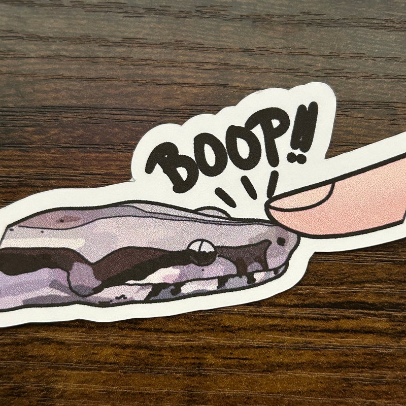 Boa Constrictor - Etsy