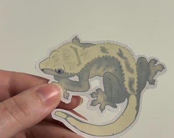 Crested Gecko Reptile Sticker Decal - Etsy