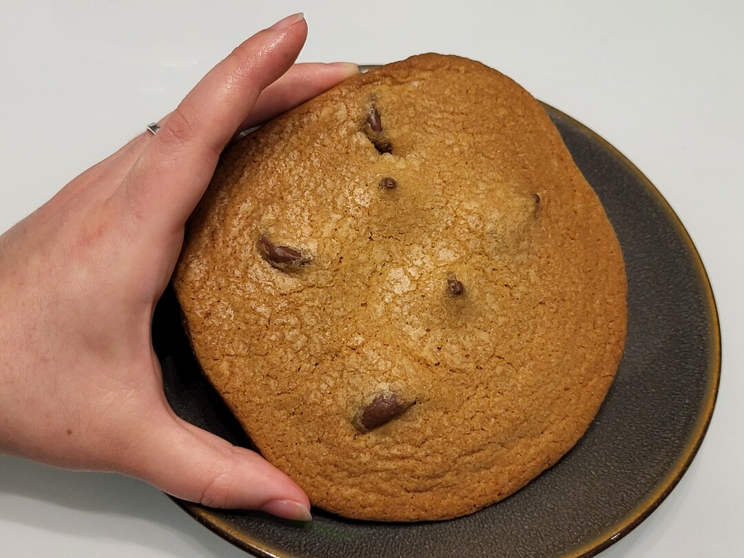 Totally Normal Sized Cookie - Etsy