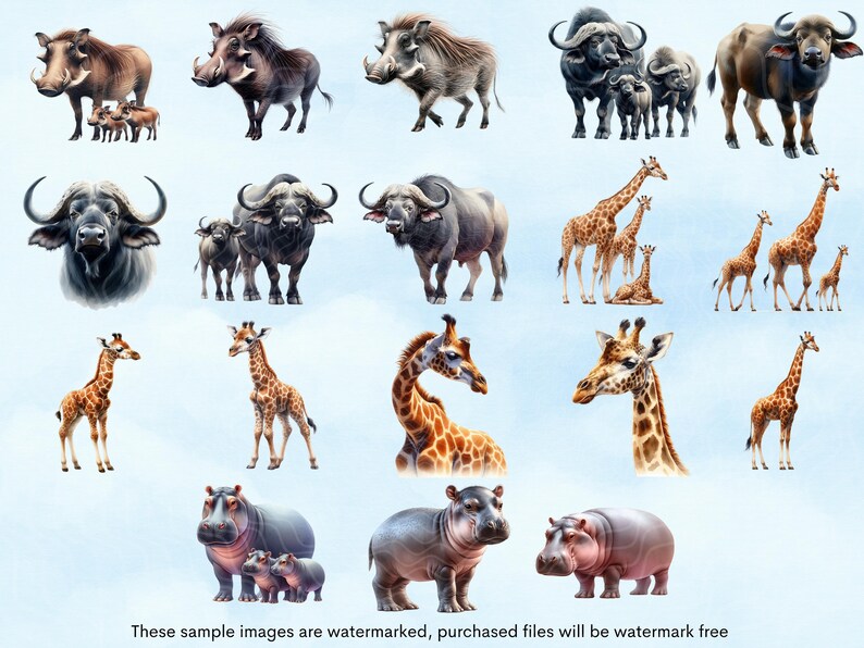 African Safari Clipart Bundle - African Animals Instant Download PNG ...
