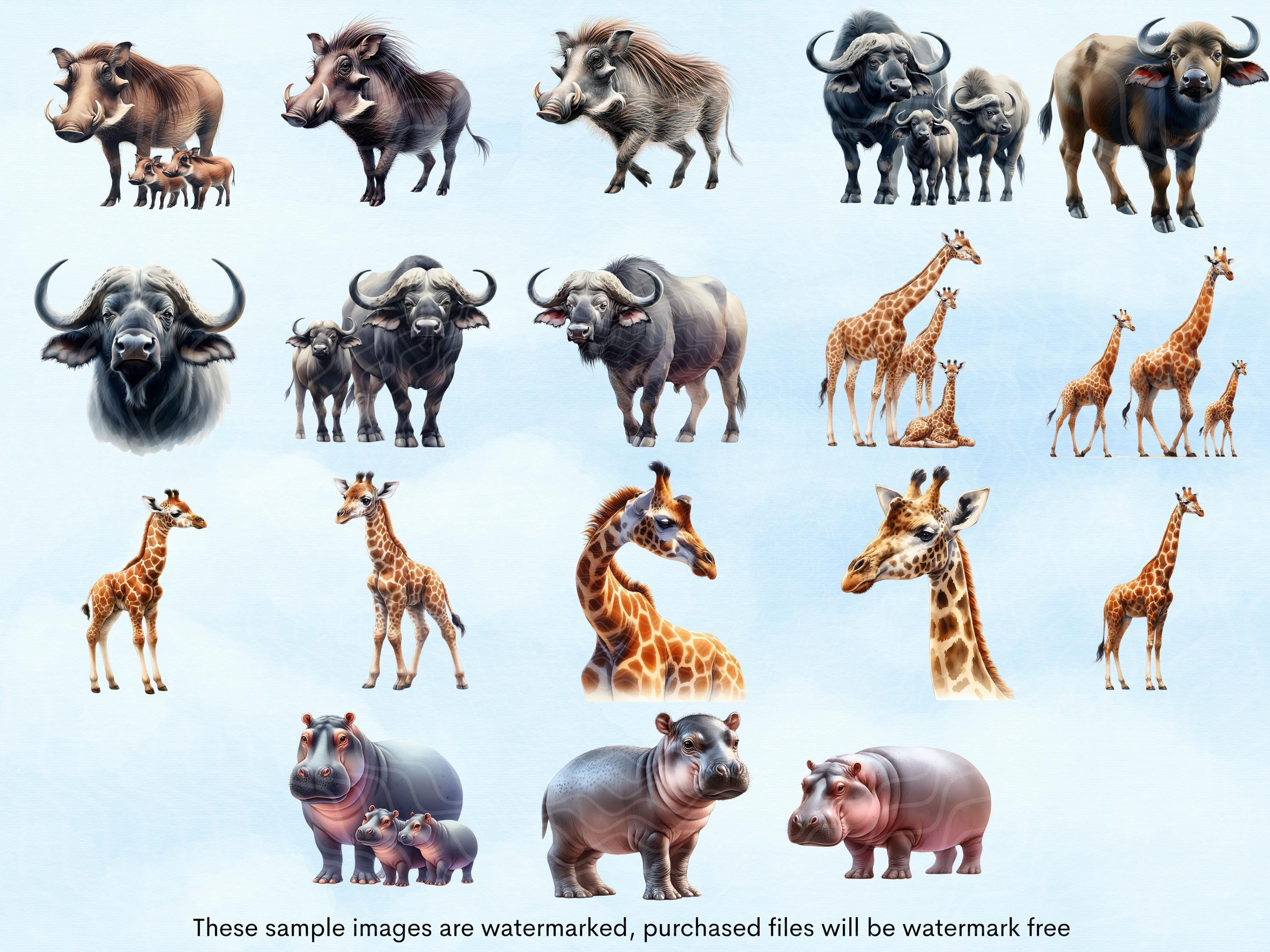 African Safari Clipart Bundle - African Animals Instant Download PNG ...