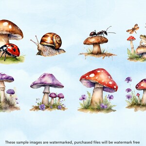 Watercolor Mushroom Clipart Bundle: Woodland PNG SVG Graphics (digital ...