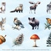 Forest Friends Clipart Bundle: 36 Woodland Animals PNG & SVG (digital ...