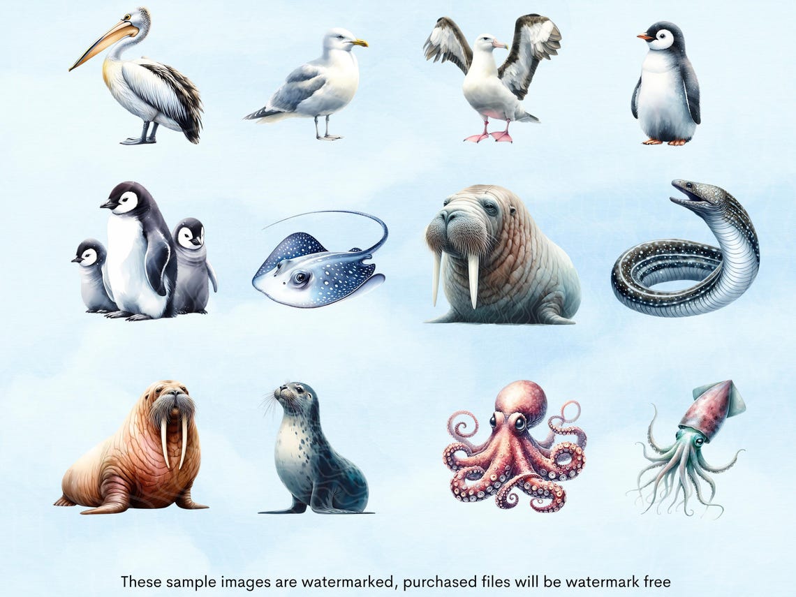 Ocean Life Clipart Bundle, Under the Sea, Sea Life PNG and SVG for ...