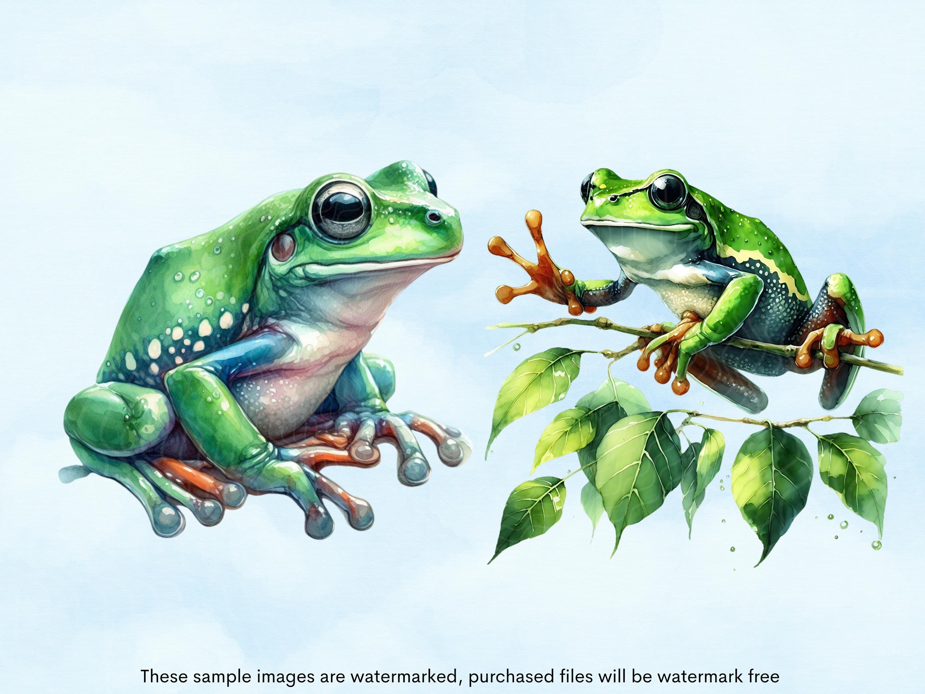 Watercolor Green Tree Frog Clipart Bundle - PNG and SVG Files for ...