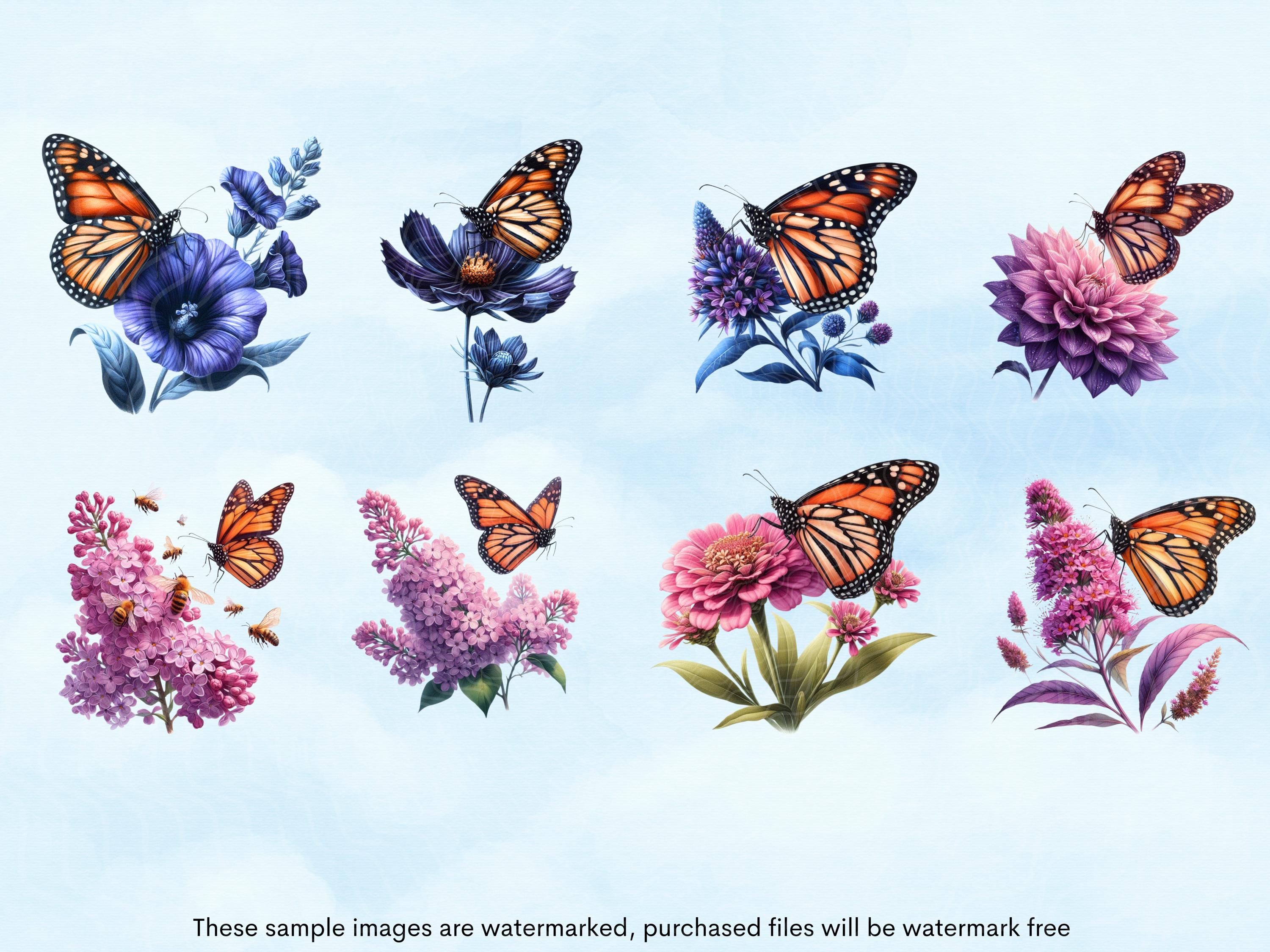 Butterfly Garden Clipart Bundle: Monarch Butterflies & Flowers (PNG ...