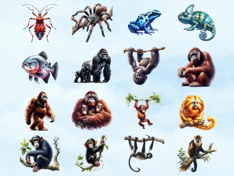 In the Jungle Clipart Bundle - Jungle Animals Instant Download PNG and ...