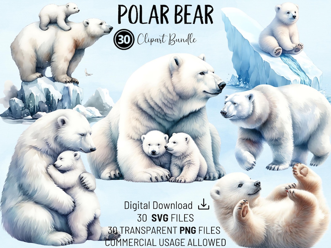 Polar Bear Clipart Bundle - Playful Polar Bears and Cubs Instant ...