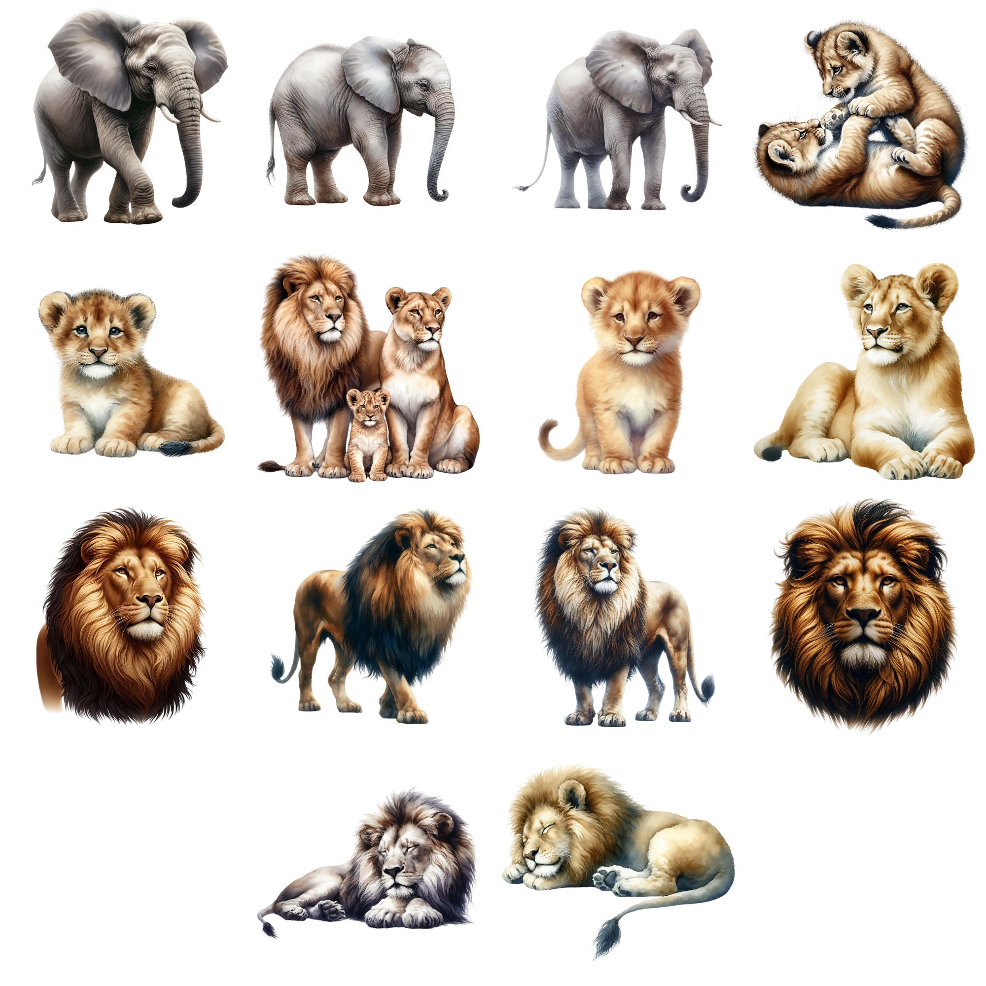 African Safari Clipart Bundle African Animals Instant Download PNG and ...
